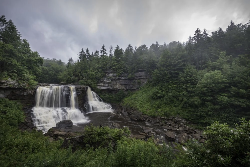 Explore West Virginia State Parks & Forests || Canaan Valley Getaway